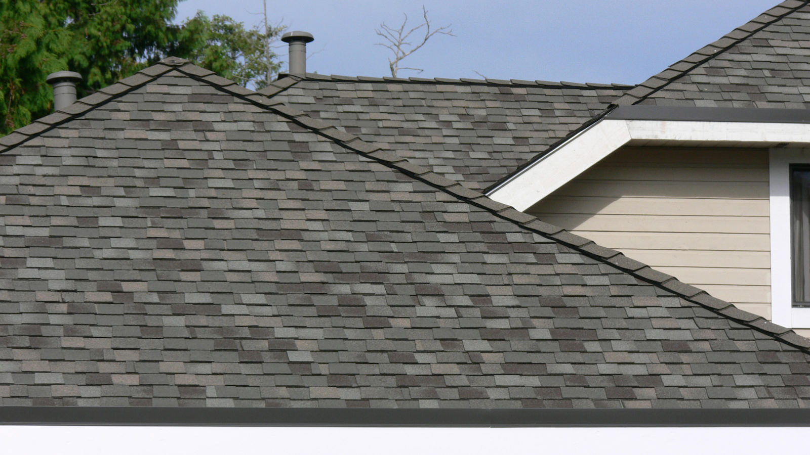 Shingles in hairline: The request could not be satisfied